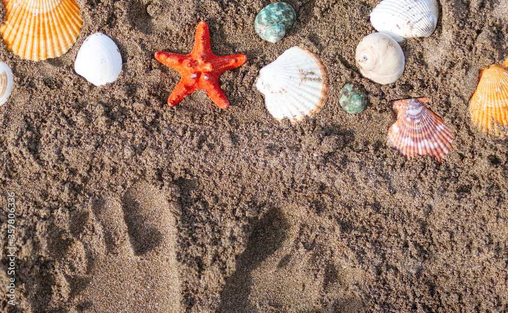 Frame of sea shells, seastar, in the Scandinavian style and the imprint ...