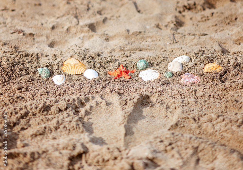 Frame of sea shells, seastar, in the Scandinavian style and the imprint ...