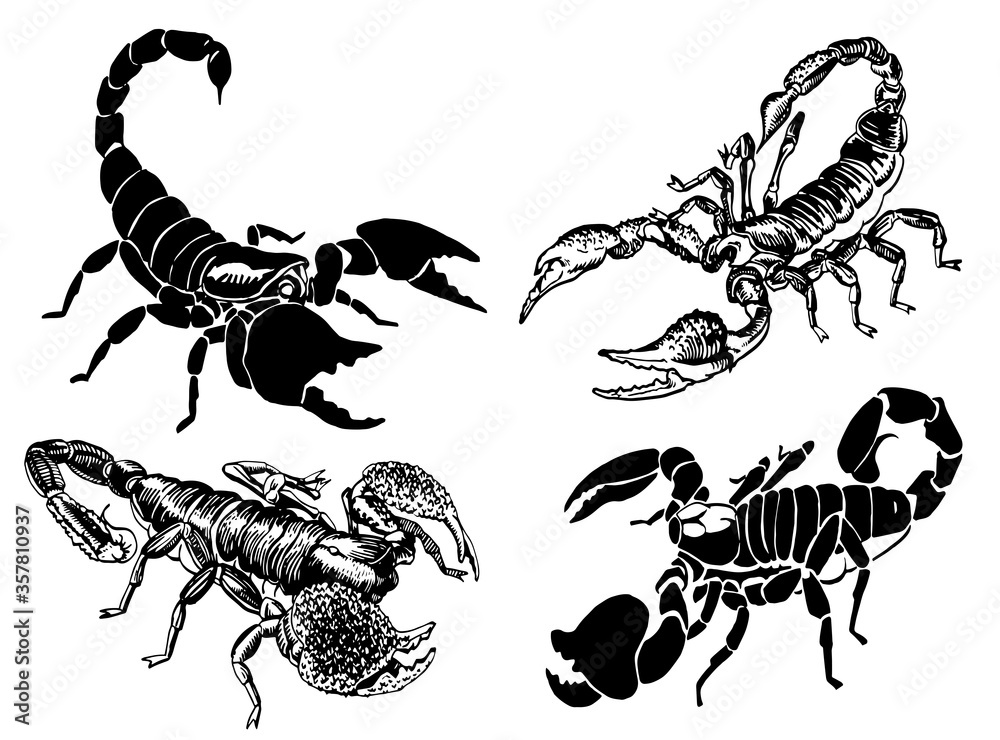 Graphical hand-drawn set of scorpions isolated on white background ...