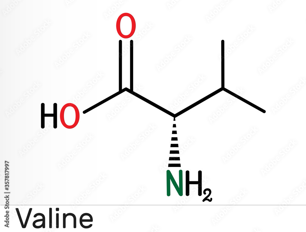 Valine, Val, L-valine molecule, is α-amino acid . It is used in the ...