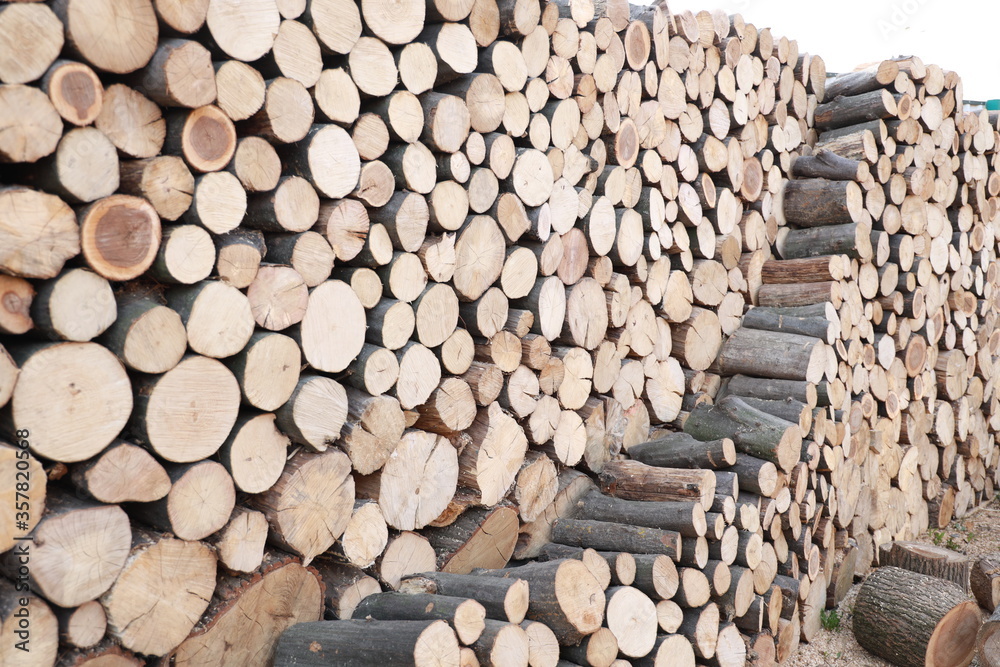 Cross section of the timber, firewood stack for the background. A lot ...