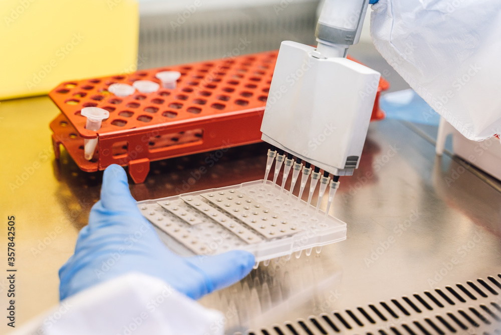 Multichannel pipette dispensing red reagent into test tray for medical ...