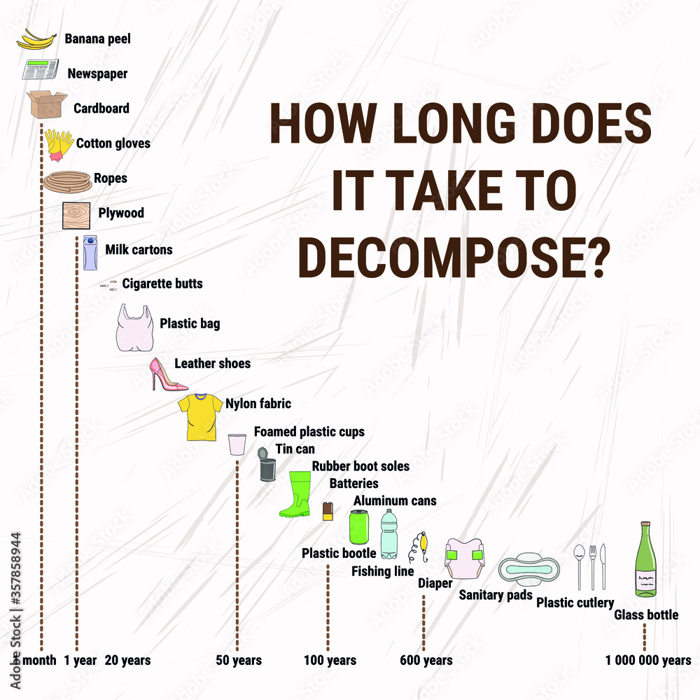 How Long Does It Take For A Body To Decompose In Water At Alonzo How Long Does It Take For A Body To Decompose In Water At Alonzo