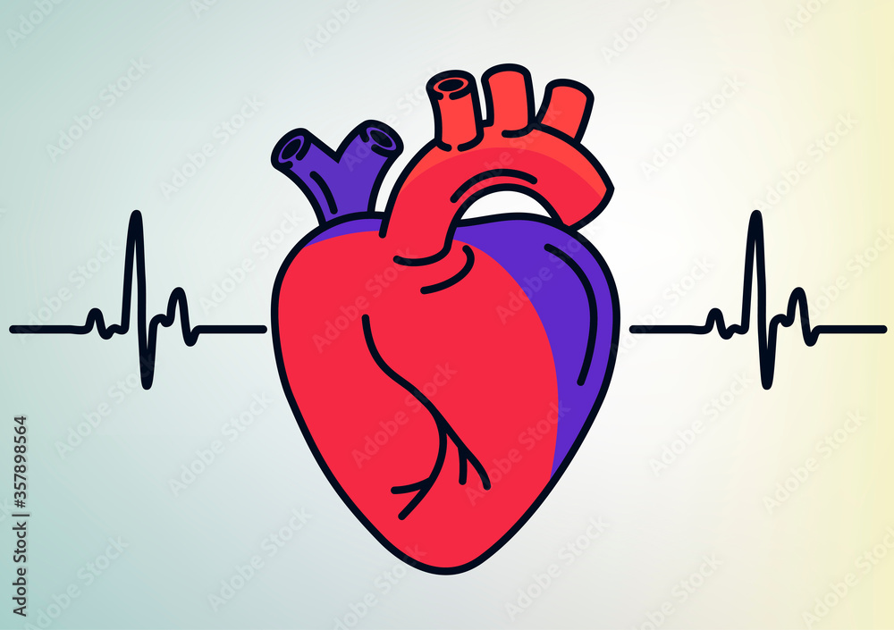 Human Heart organ outline icon. linear style sign. Heart line art ...