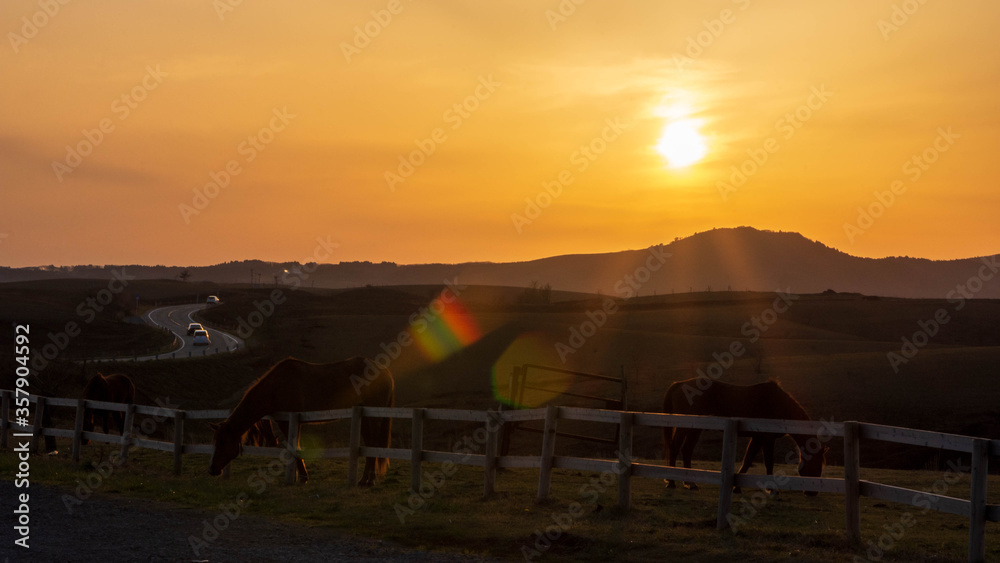 美しい夕焼け空と阿蘇大観峰風景 夕焼けの輝きとミルクロード 日本 Beautiful sunset sky and Aso Daikanbo ...