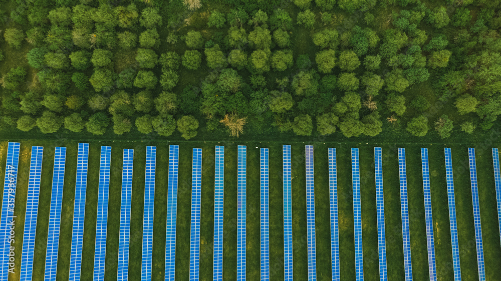 Top view of solar panels (solar cell) in solar farm with green tree and ...