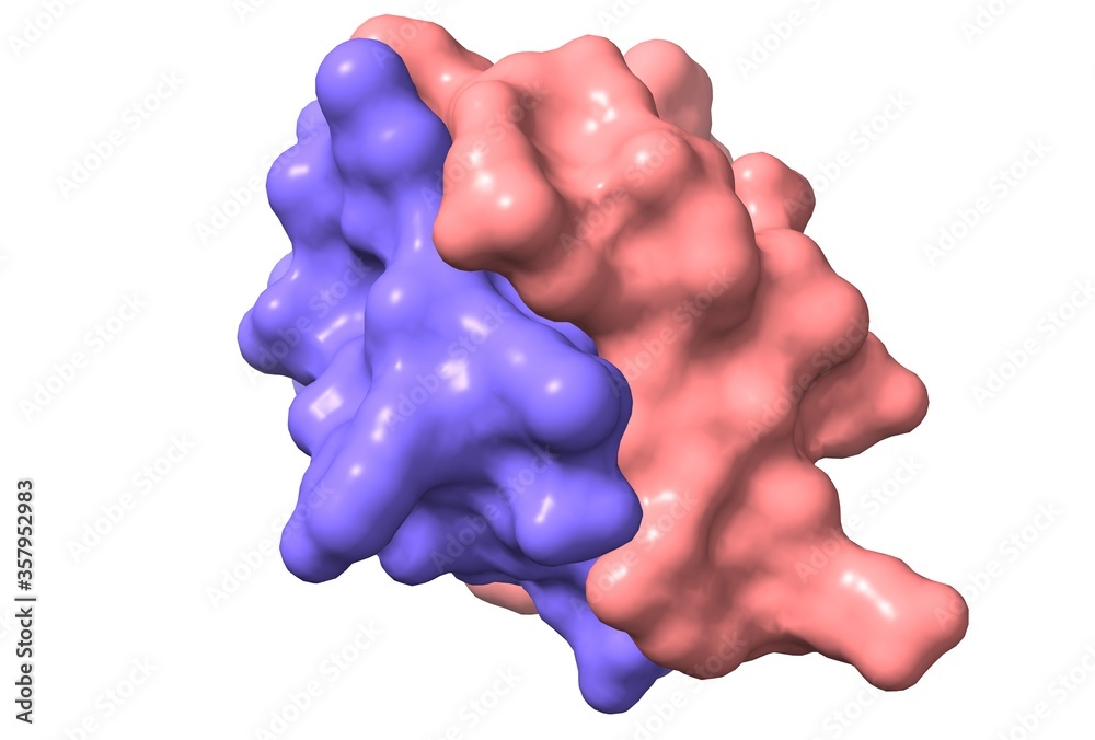 ภาพประกอบสต็อก A 3D-model of the recombinant human insulin chains A and ...