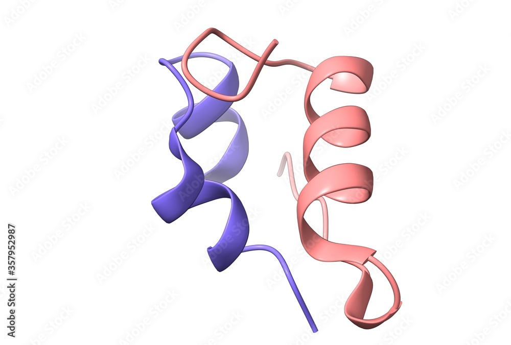 A 3D-model of the recombinant human insulin quaternary structure chains ...