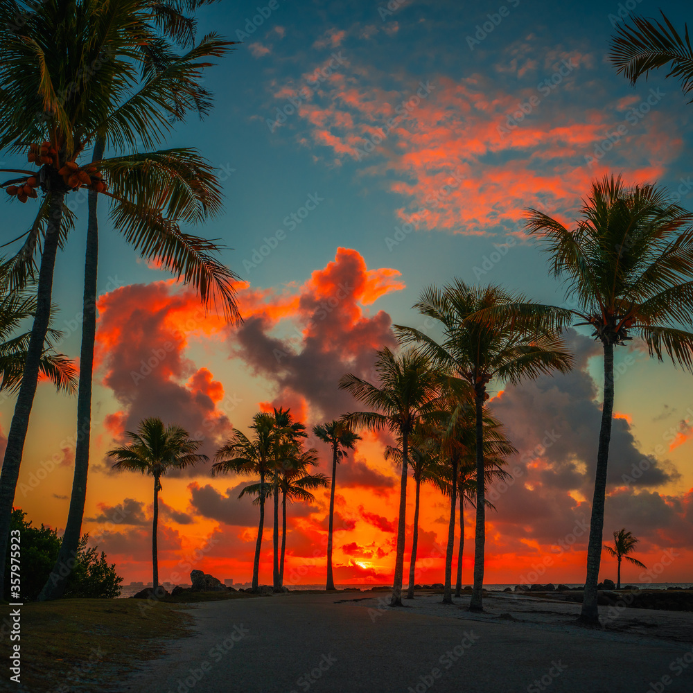 sunrise over the beach sunset tropical miami florida palm summer Stock ...