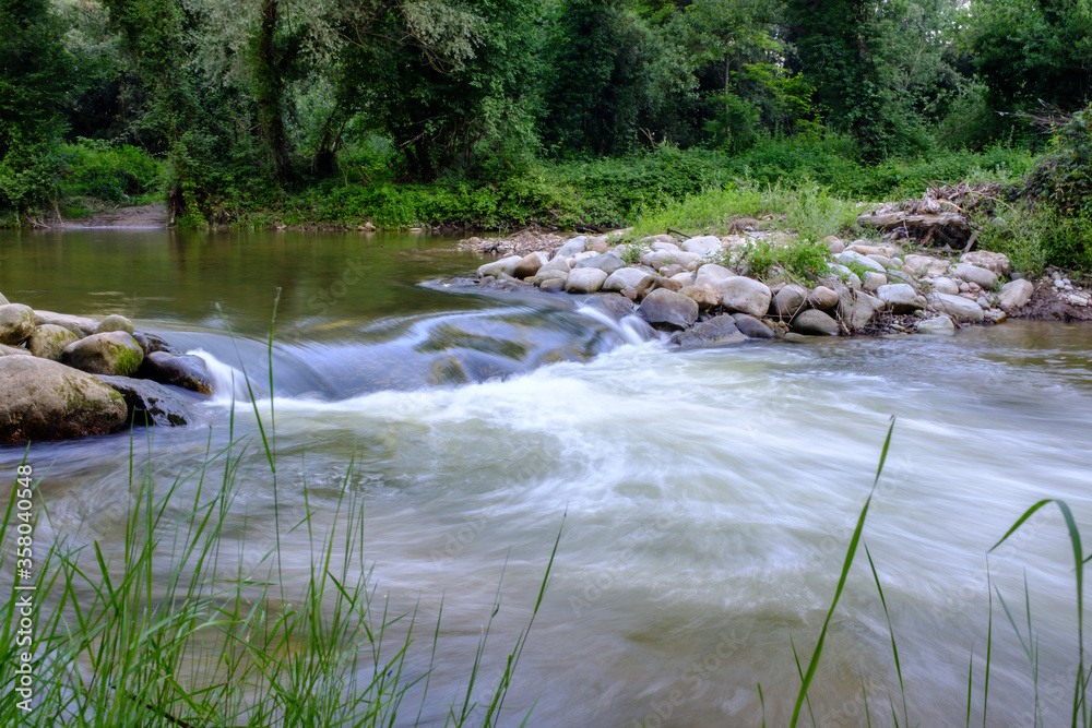 River with spring water flowing on a green forest landscape on a little ...