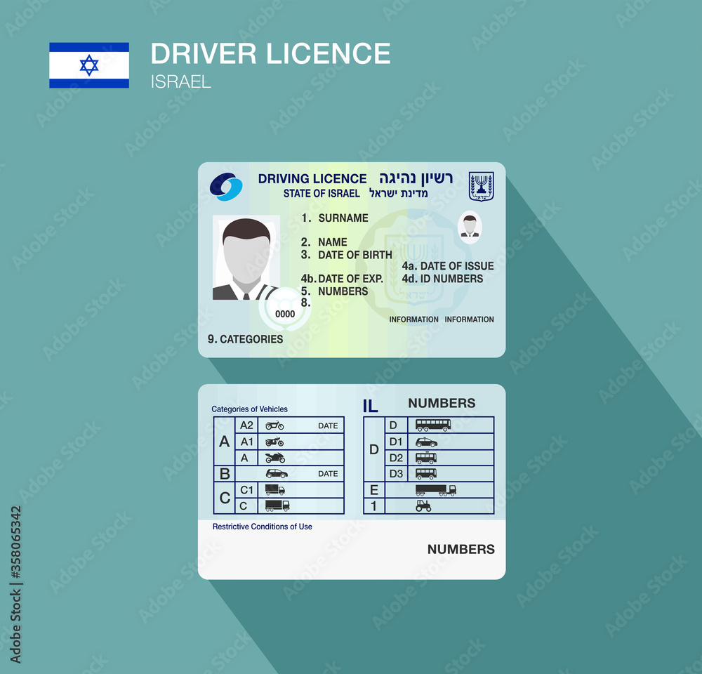 Israeli car driver license identification. Flat vector illustration ...