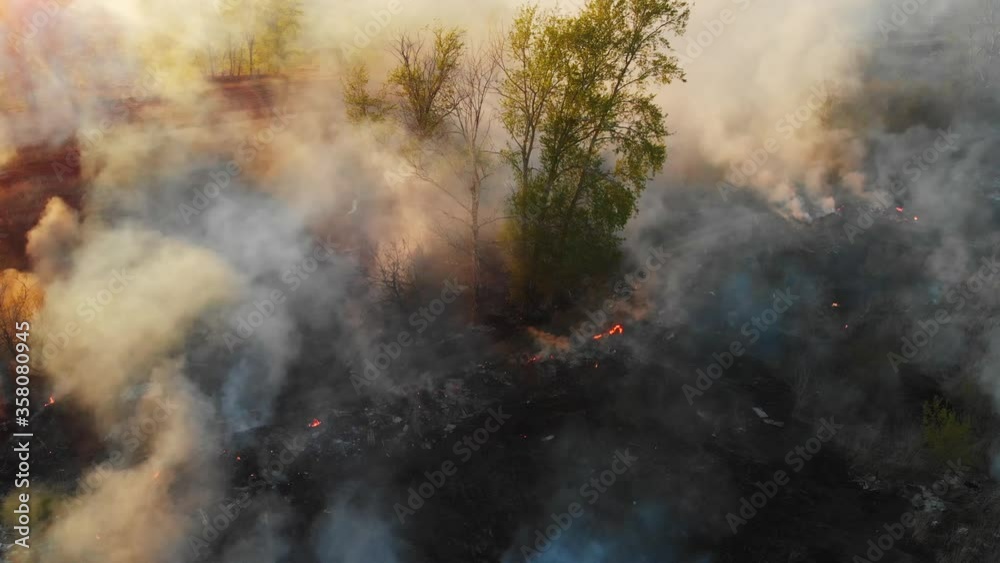 Air pollution caused by fire on a landfill. Deforestation of rainforest ...