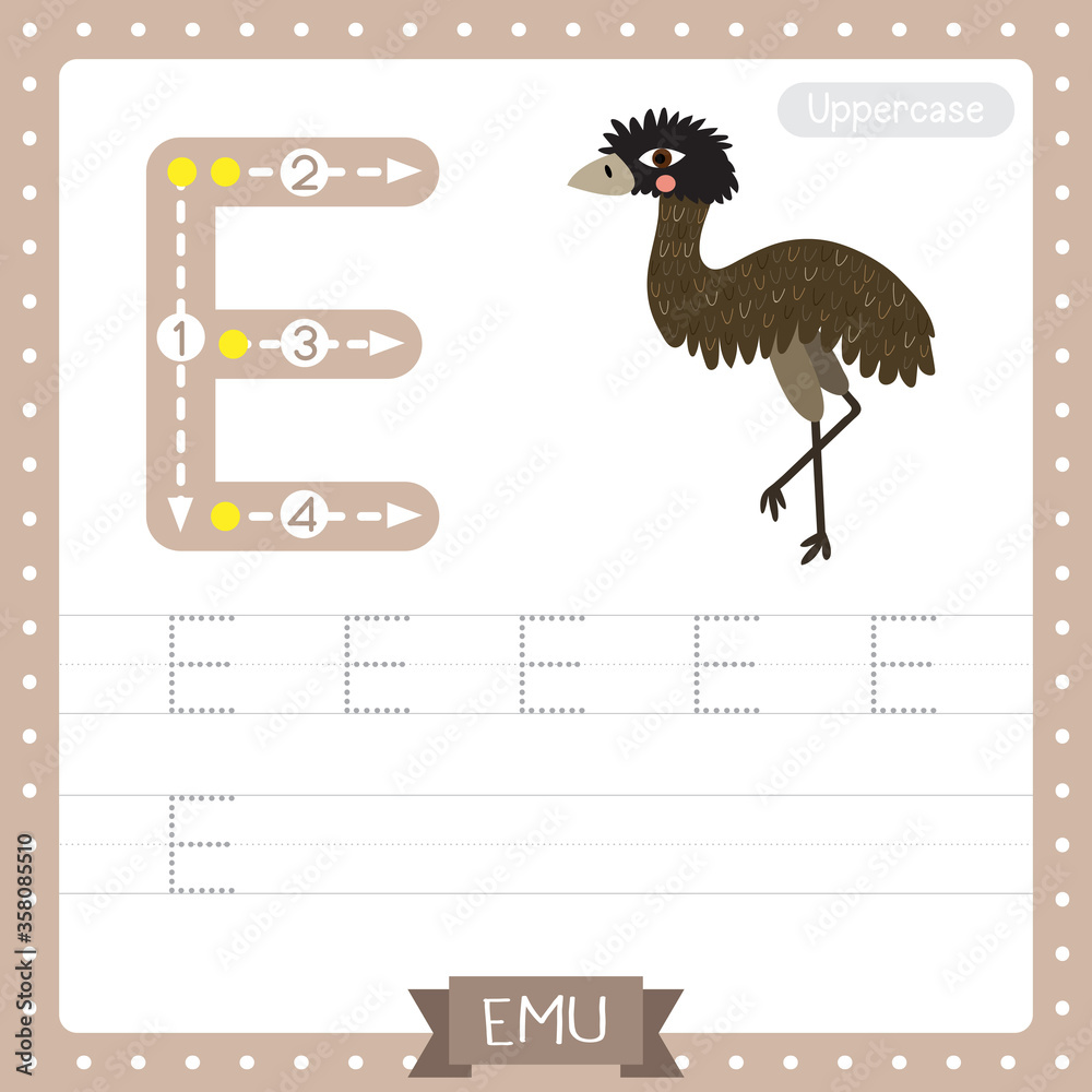 Letter E uppercase tracing practice worksheet. Standing Emu Stock ...