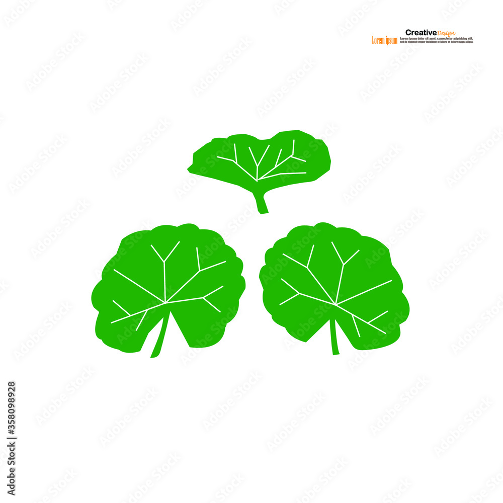 Centella asiatica icon on white background.Herbs help to heal ...