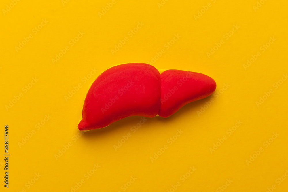 Human liver on yellow background. Disease, diagnosis and care ...
