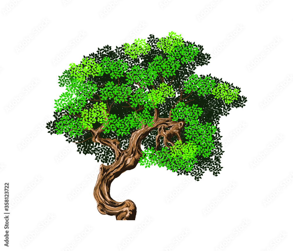 Tree Logo Design Template Tree Of Life Vector Illustration Stock