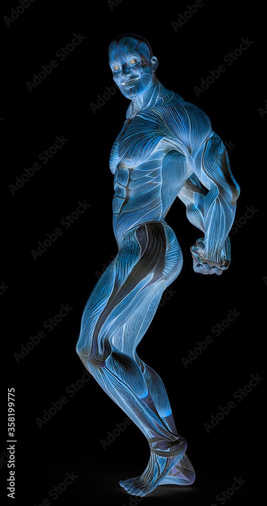 muscleman anatomy heroic body doing a bodybuilder pose eight in white ...