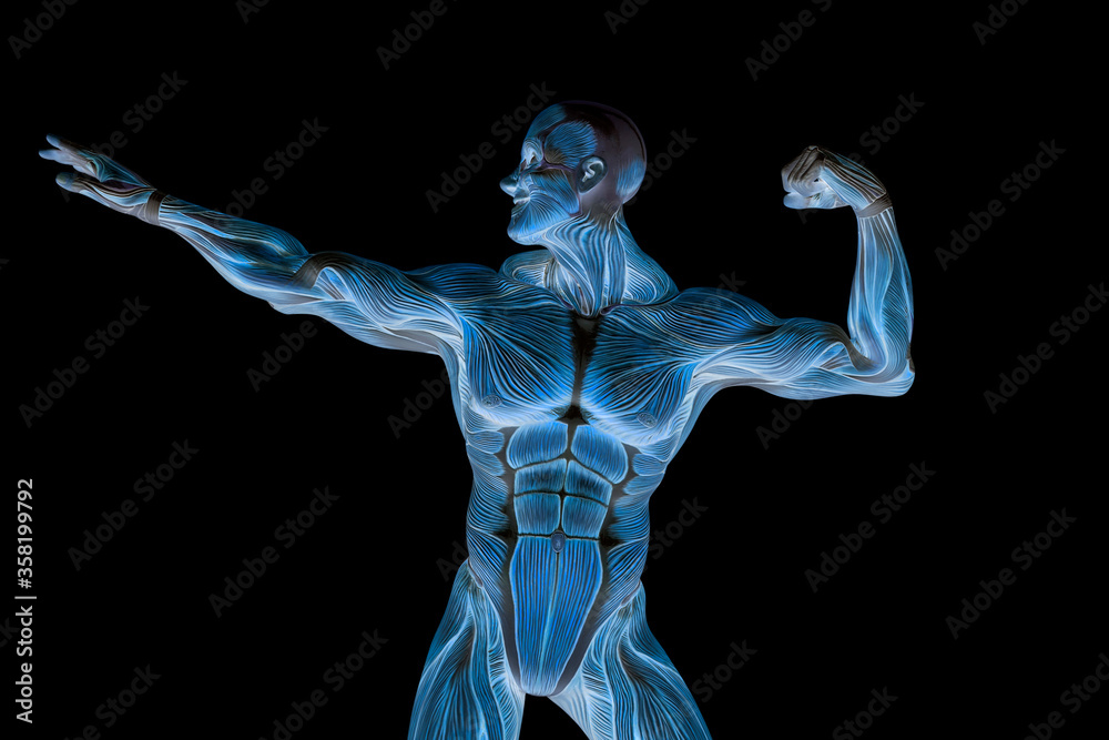 muscleman anatomy heroic body doing a bodybuilder pose eleven in white ...