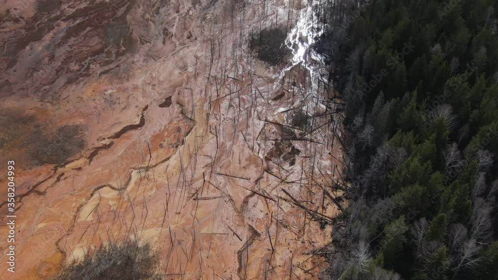 Deforestation concept : dead earth and trees destroyed by human ...