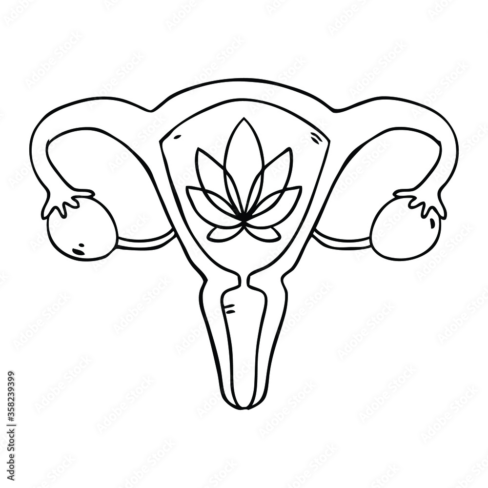Vector Illustration In Cartoon Style With Beauty Female Reproductive