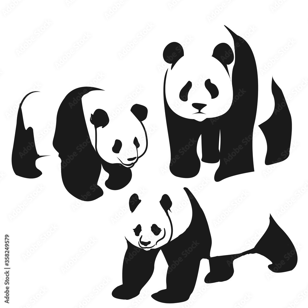 Panda bear illustration curious panda wildlife and panda bear vector ...