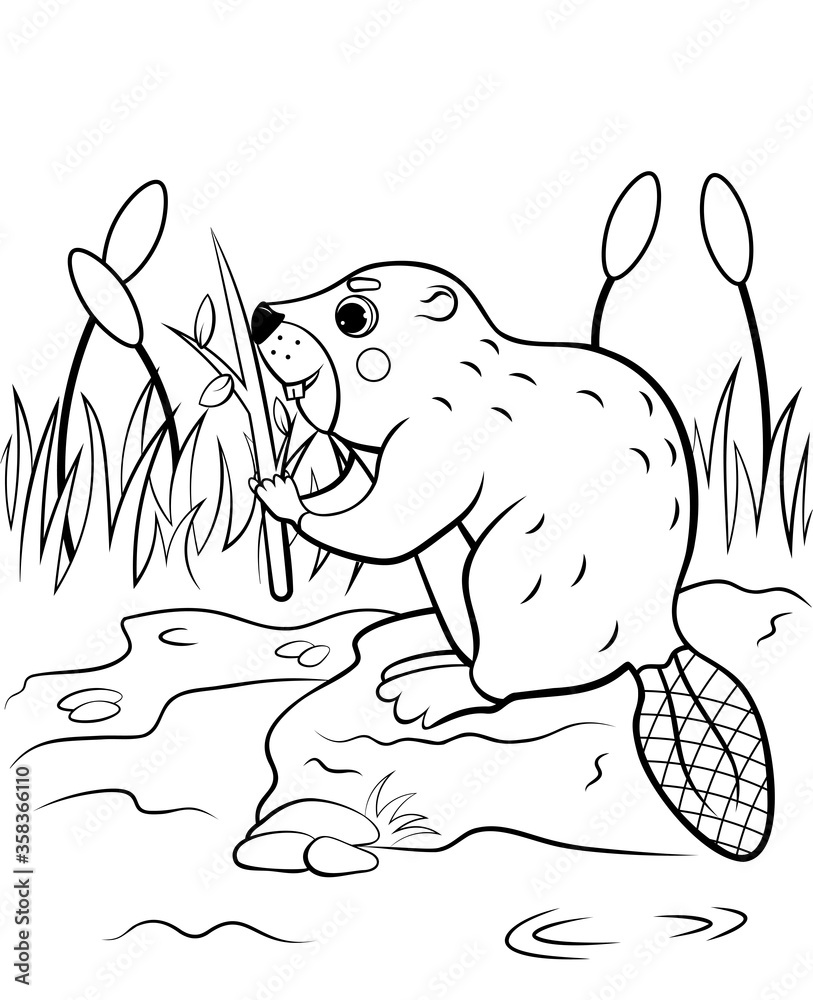 Coloring page outline of cute cartoon beaver with a branch in the reeds ...