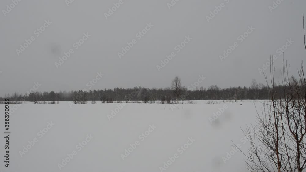 snowfall over winter field and forest in northern Norway Stock Video ...