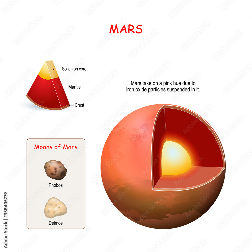 Mars internal structure. cross section of planet Stock Vector | Adobe Stock