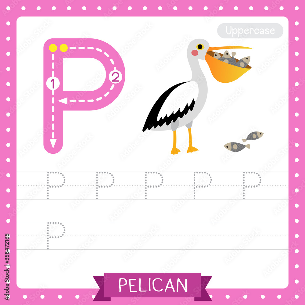 Letter P uppercase tracing practice worksheet of Pelican bird with fish ...