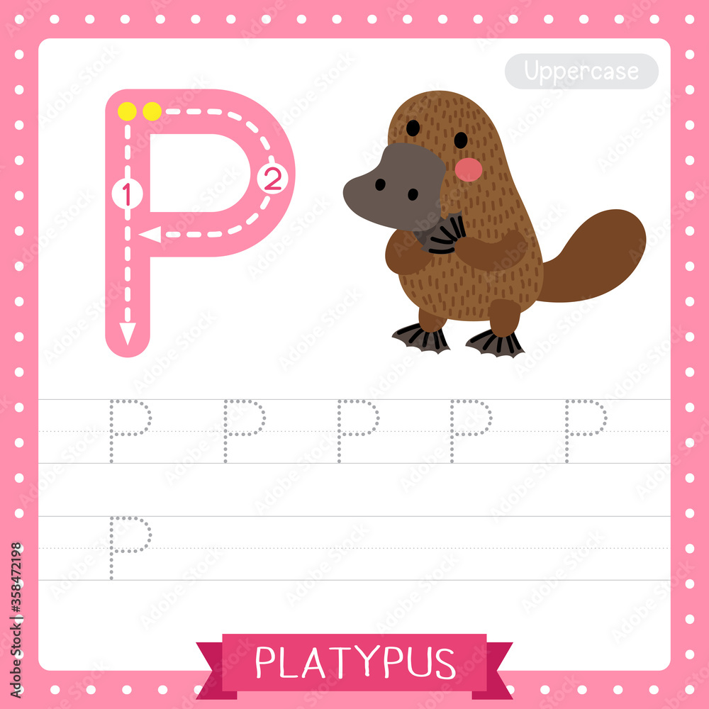 Letter P uppercase tracing practice worksheet of Standing Platypus ...
