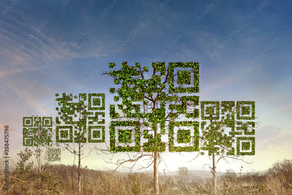 Qr Code Tree With A Symbol In The Dry Forest Background Technology