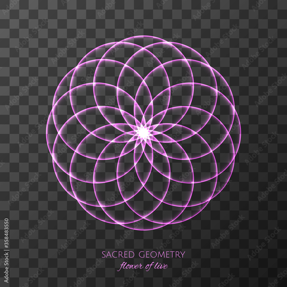 Pink flower of Life on transparent background. Sacred Geometry. Symbol ...