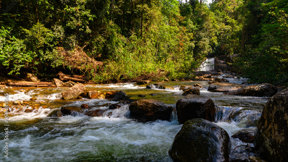 Sinharaja Forest Reserve, a national park in Sri Lanka. UNESCO World ...