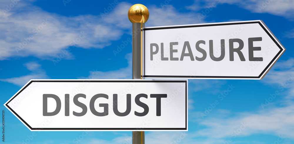 Disgust and pleasure as different choices in life - pictured as words ...