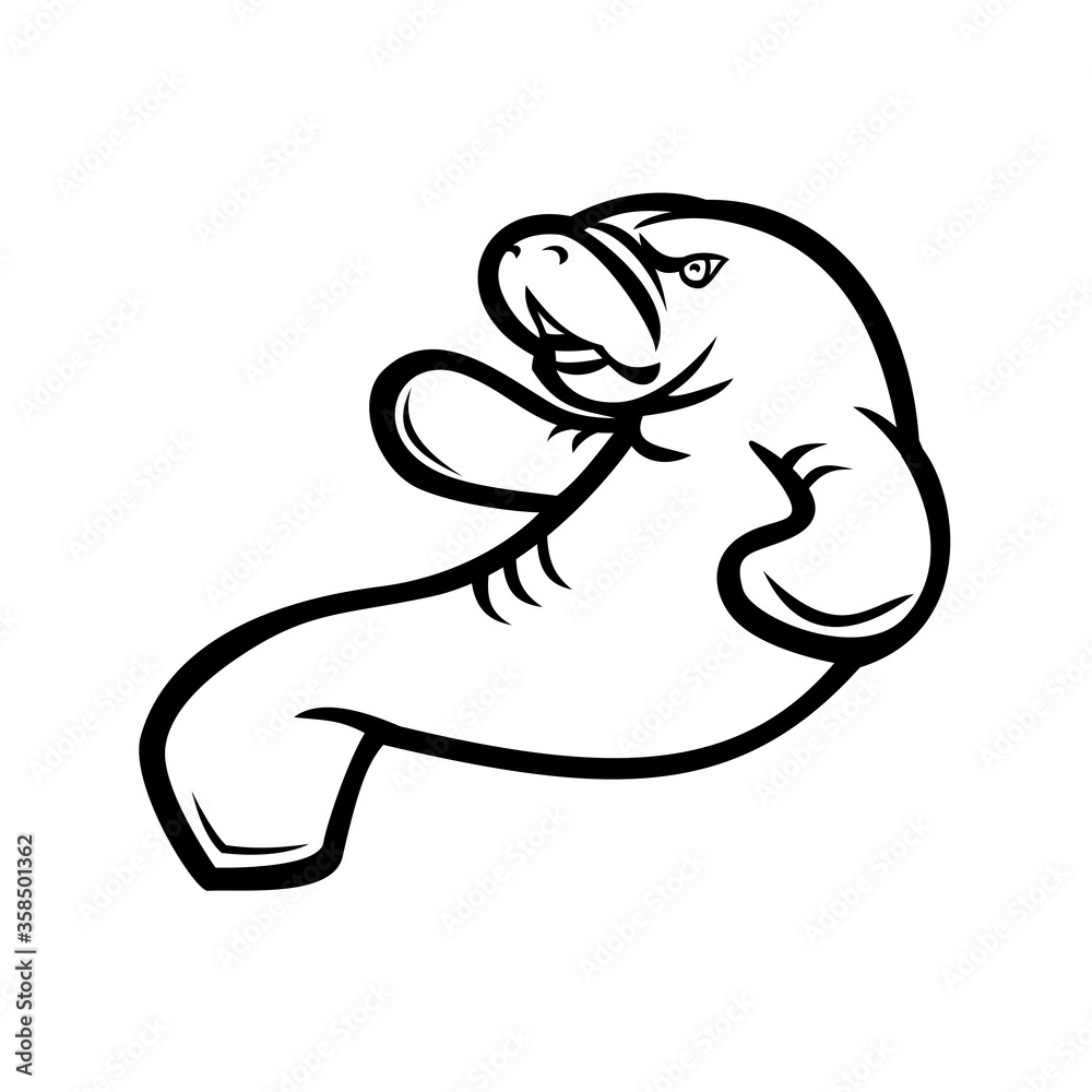 Angry Manatee Swimming Up Mascot Black and White Stock Vector | Adobe Stock