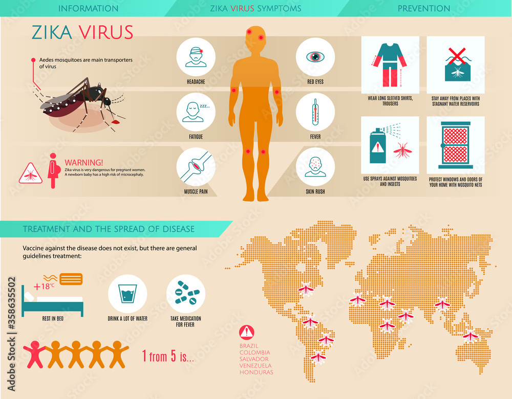 Vetor de Zika virus infographic: information, prevention, symptoms ...