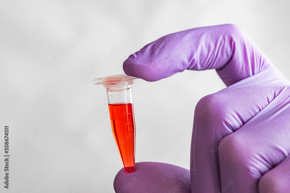 Red sample in a 1.5 ml microcentrifuge tube in gloved hand Stock Photo ...