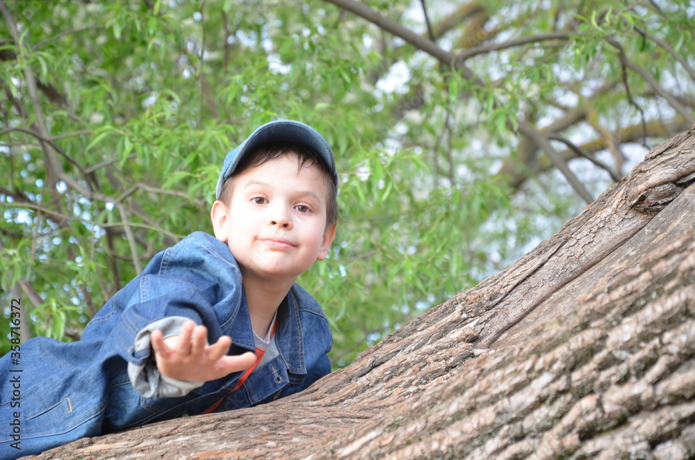Foto de Portrait of cute kid boy sitting on the big old tree on sunny ...