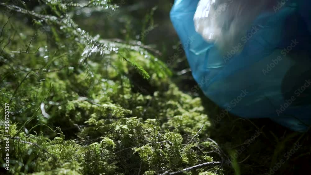 Responsible people clean green forest from garbage and pollution, walk ...