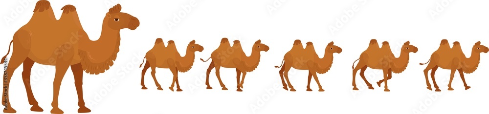 Bactrian or a two-humped camel, a cartoon character for a walking cycle ...