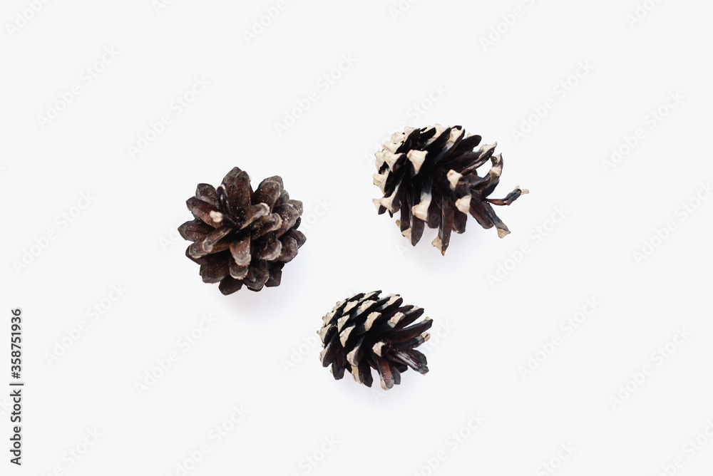pine cones on white background, Pine cones, fir cones, bumps, pile of ...