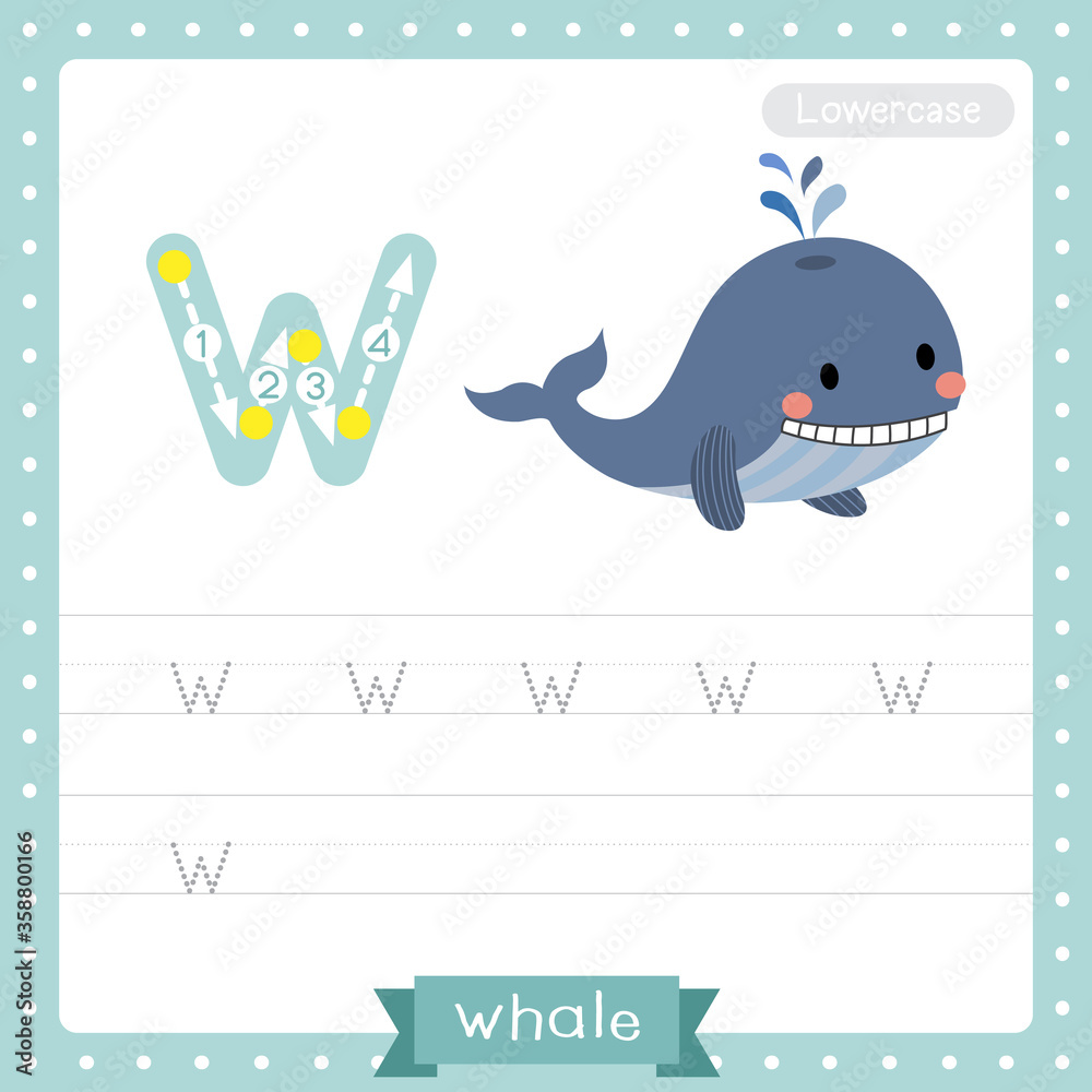 Letter W lowercase tracing practice worksheet of Blue Whale Stock ...