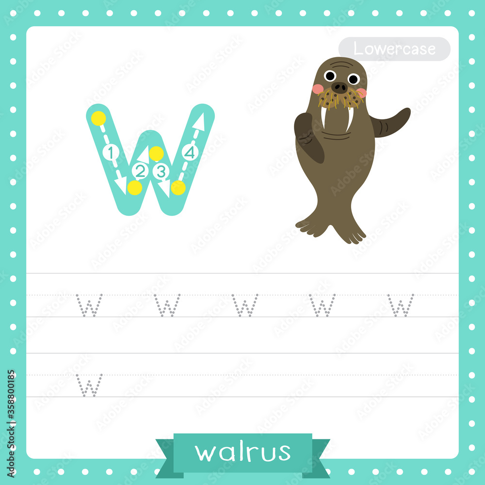 Letter W lowercase tracing practice worksheet of Walrus Stock Vector ...