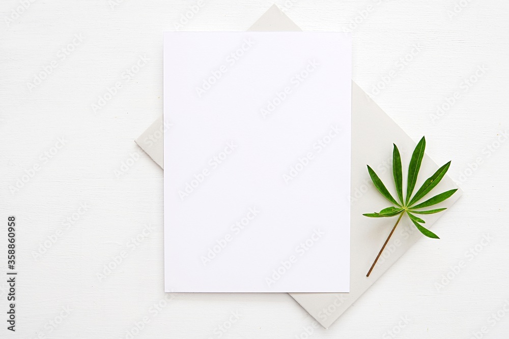 Blank card, greeting, invitation card mockup, white empty paper sheet ...