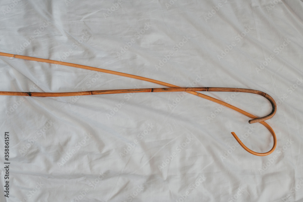 Rattan canes with crooked handle on white background. Dragon rattan ...