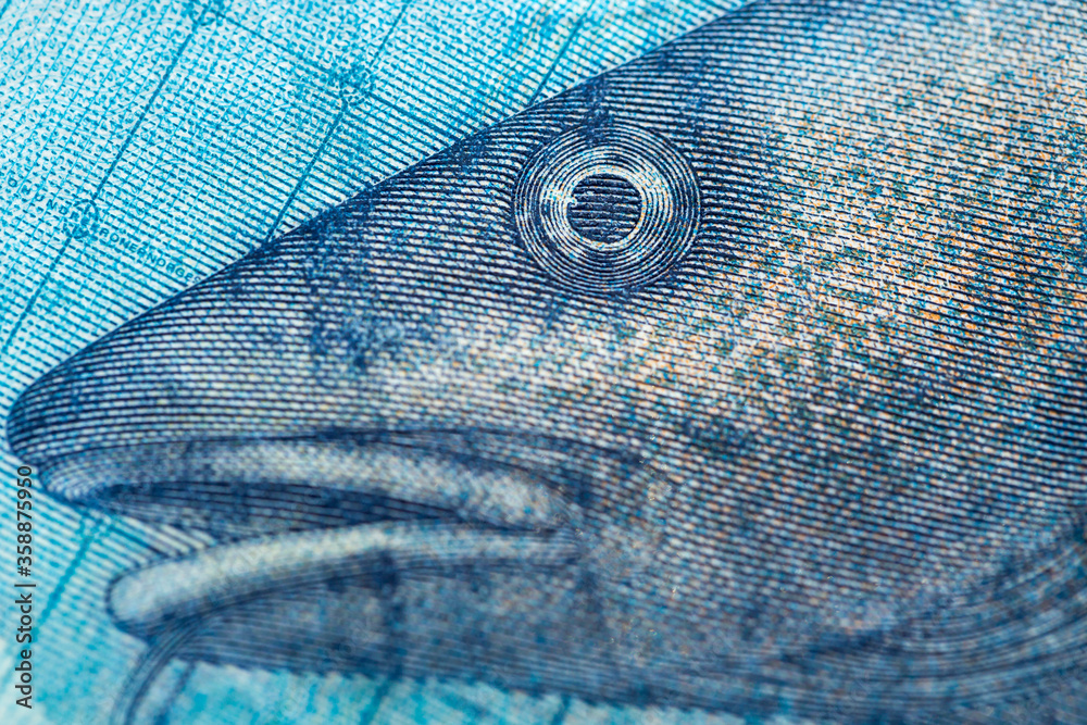 New Norwegian banknote series NOK 200 Kroner note. Obverse side of bill ...