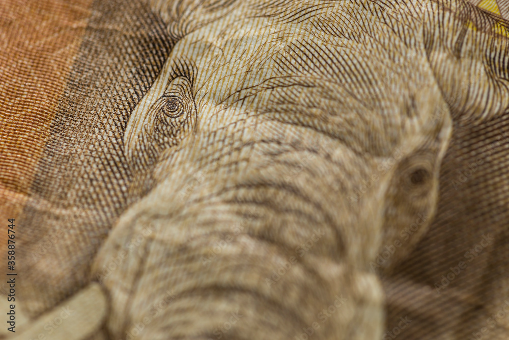 Horizontal macro detail of an elephant on the reverse of a South ...