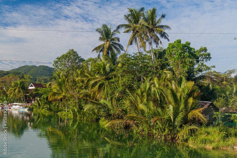 View of Loboc river on Bohol island, Philippines Stock Photo | Adobe Stock