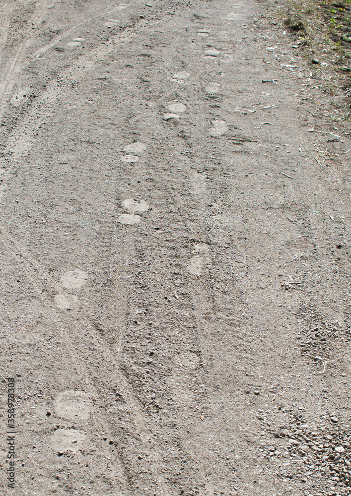 Human footprints and tire trucks on the dusty ground / pathway ...