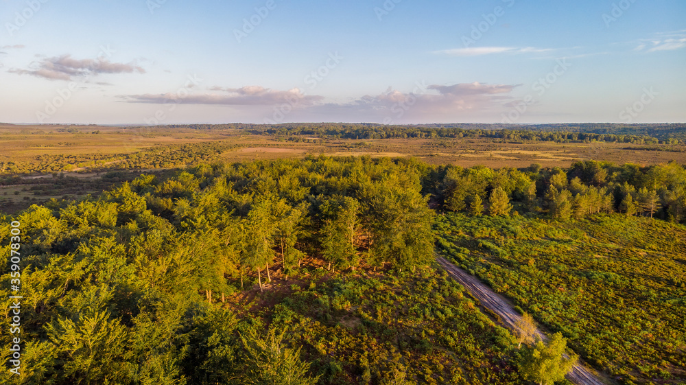 An aerial view of the New Forest with heartland, trees at golden hour ...